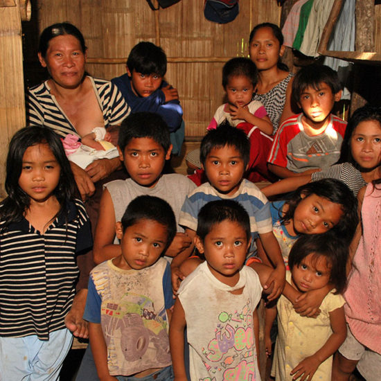 About HFI | Health Futures Foundations, Inc.