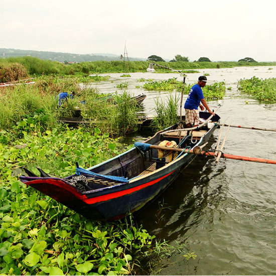 About HFI | Health Futures Foundations, Inc.