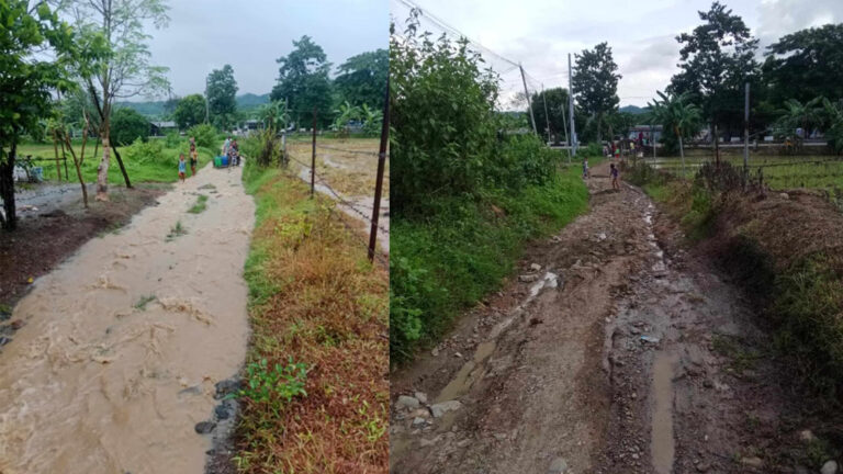 About HFI | Health Futures Foundations, Inc.